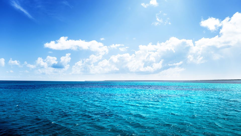 Como aplicar o conceito do oceano azul na minha carreira? | EXAME