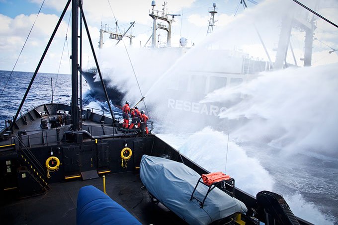 Ela abriu mão do conforto em terra para embarcar na luta pelos oceanos ...
