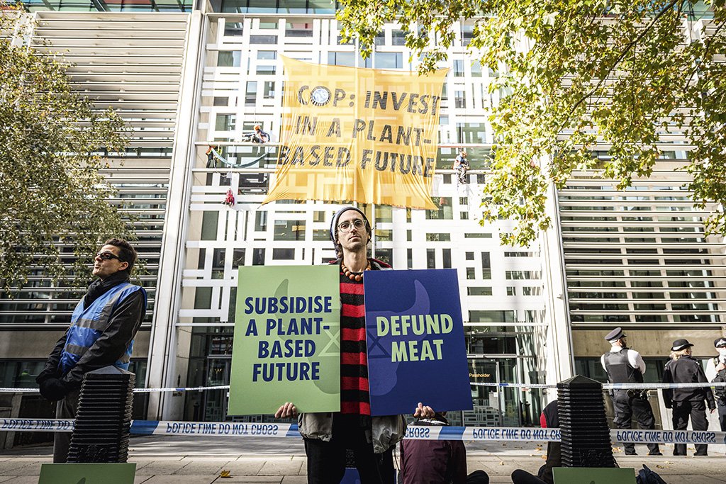 A chamada nuvem verde é aliada na busca por zerar emissões | Exame