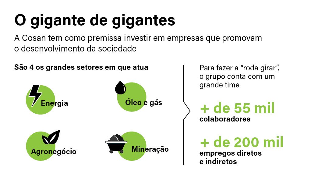 Cosan consolida portfólio em setores essenciais para o Brasil | Exame